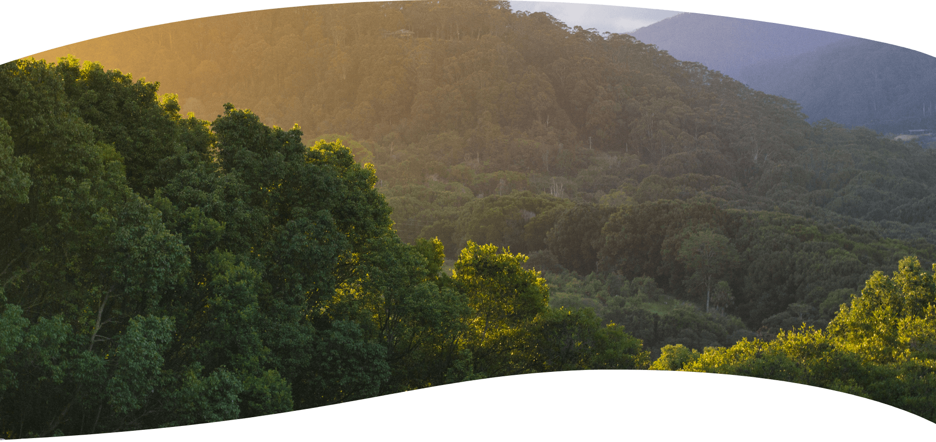 The Enchanted Cave | Crystal Castle